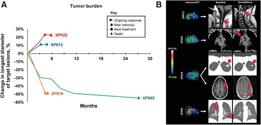 ImmunoPET Imaging with 89Zr-Labeled Atezolizumab Enables In Vivo ...