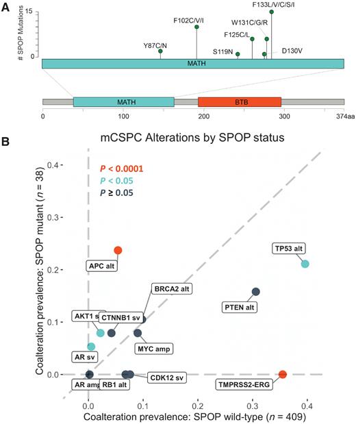 SPOP Mutations as a Predictive Biomarker for Androgen Receptor Axis ...