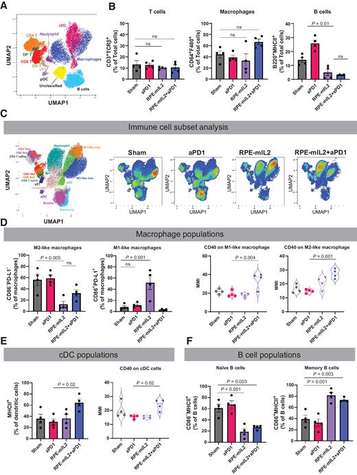 Activation of Adaptive and Innate Immune Cells via Localized IL2 ...