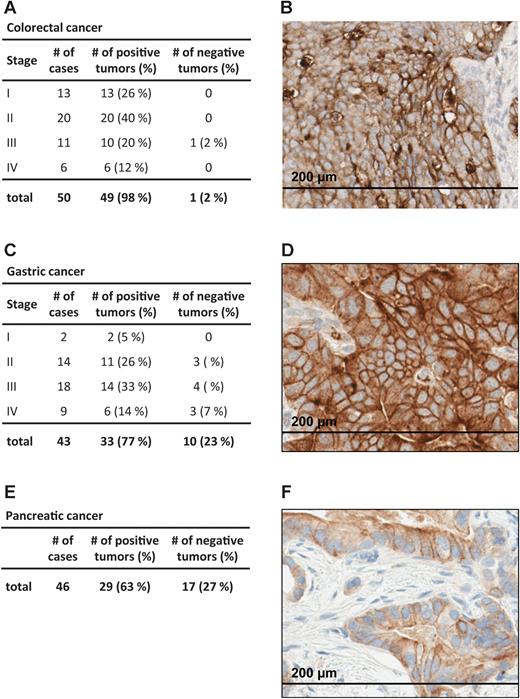 A Novel B7-H6–Targeted IgG-Like T Cell–Engaging Antibody for the ...