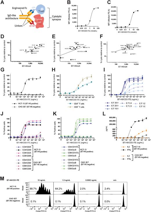 A Novel B7-H6–Targeted IgG-Like T Cell–Engaging Antibody for the ...