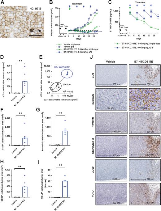 A Novel B7-H6–Targeted IgG-Like T Cell–Engaging Antibody for the ...