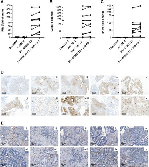 A Novel B7-H6–Targeted IgG-Like T Cell–Engaging Antibody for the ...