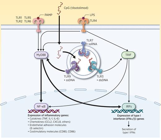 Intratumoral Therapy to Make a “Cold” Tumor “Hot”: The Jury Is Still ...