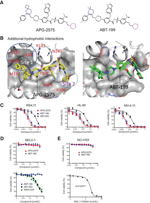 Lisaftoclax (APG-2575) Is a Novel BCL-2 Inhibitor with Robust Antitumor ...
