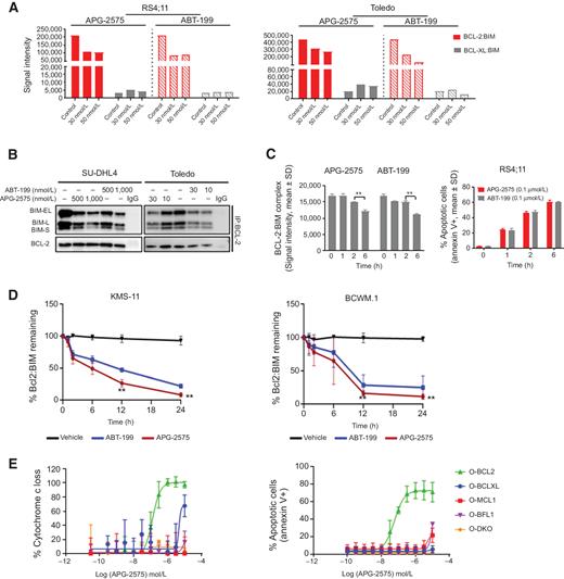 Lisaftoclax (APG-2575) Is a Novel BCL-2 Inhibitor with Robust Antitumor ...