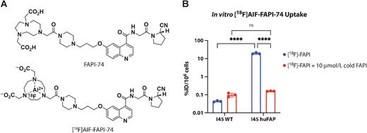 Monitoring Therapeutic Response to Anti-FAP CAR T Cells Using [18F]AlF ...