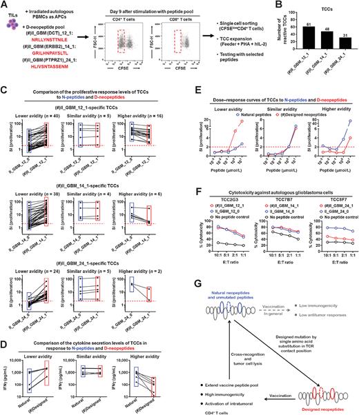Vaccination with Designed Neopeptides Induces Intratumoral, Cross ...