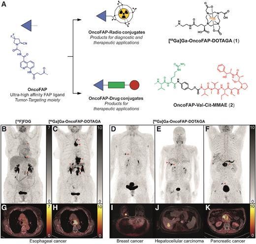 Fibroblast Activation Protein Triggers Release of Drug Payload from Non-internalizing Small ...