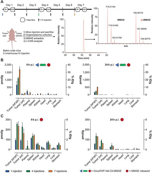 Fibroblast Activation Protein Triggers Release of Drug Payload from Non ...