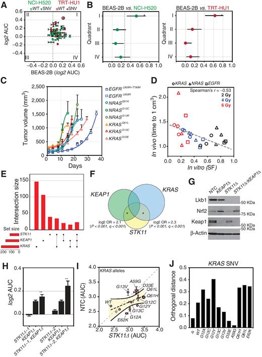 The Mutational Landscape of Cancer's Vulnerability to Ionizing ...