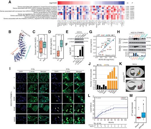 The Mutational Landscape of Cancer's Vulnerability to Ionizing ...
