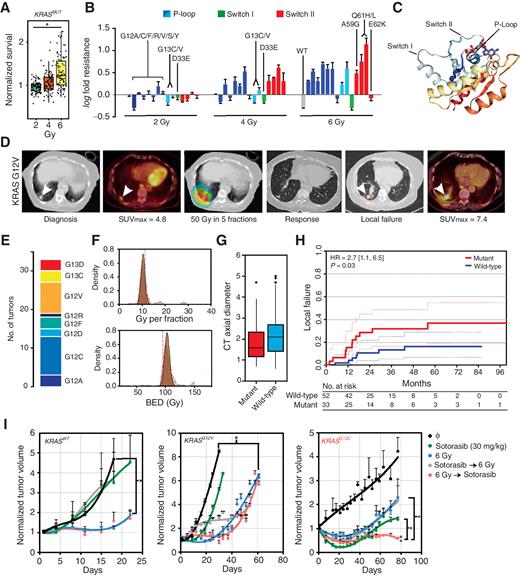 The Mutational Landscape of Cancer's Vulnerability to Ionizing ...