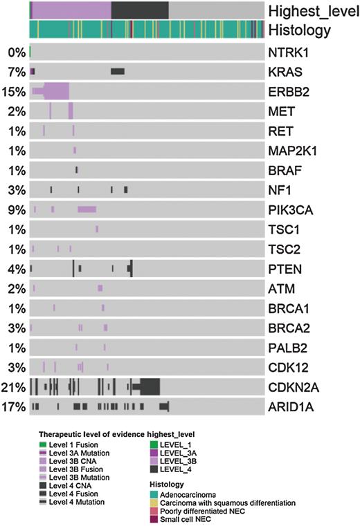 Comprehensive Molecular Characterization of Gallbladder Carcinoma and ...