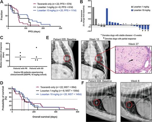 Losartan Blocks Osteosarcoma-Elicited Monocyte Recruitment, and ...