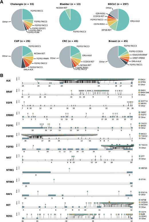 The Pan-Tumor Landscape of Targetable Kinase Fusions in Circulating Tumor DNA | Clinical Cancer ...