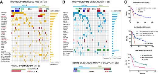 Genetic Subtyping and Phenotypic Characterization of the Immune ...