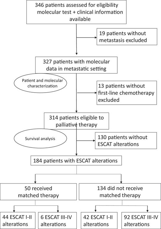 ESMO Scale for Clinical Actionability of Molecular Targets Driving ...