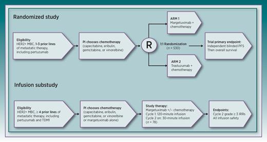 FDA Approval Summary: Margetuximab plus Chemotherapy for Advanced or ...