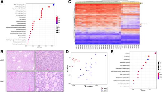Integrated Analysis of Ovarian Juvenile Granulosa Cell Tumors Reveals ...