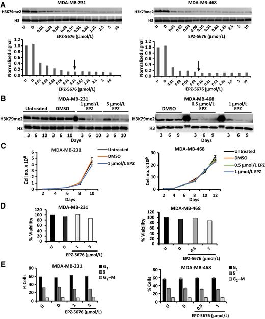 DOT1L Is a Novel Cancer Stem Cell Target for Triple-Negative Breast ...