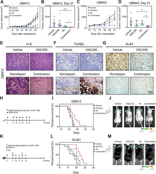 Induction of Synthetic Lethality by Activation of Mitochondrial ClpP ...