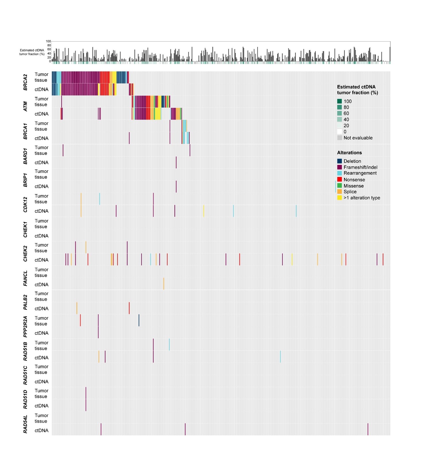 Detection Of Brca1 Brca2 And Atm Alterations In Matched Tumor Tissue And Circulating Tumor Dna