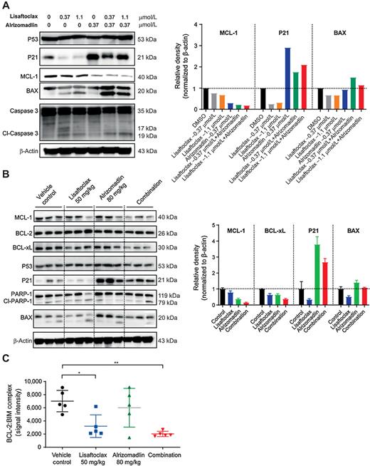 Lisaftoclax in Combination with Alrizomadlin Overcomes Venetoclax ...