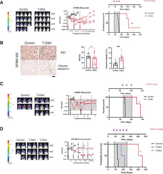 Preclinical and Clinical Efficacy of Trastuzumab Deruxtecan in Breast ...