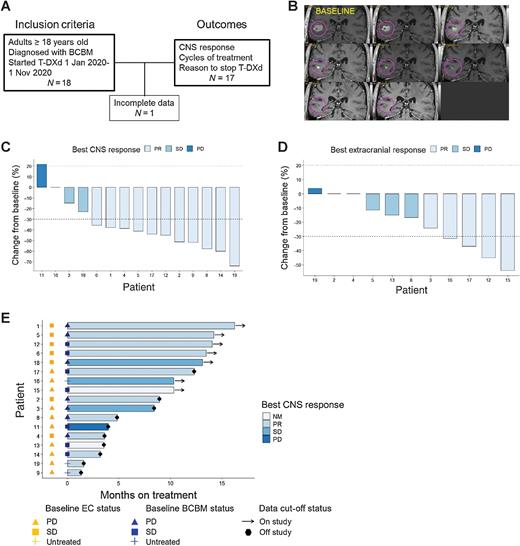 Preclinical and Clinical Efficacy of Trastuzumab Deruxtecan in Breast ...