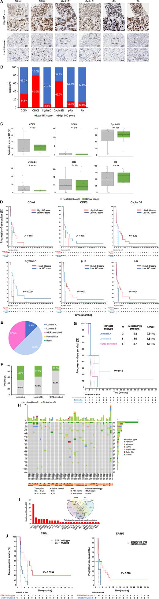 Palbociclib Rechallenge for Hormone Receptor–Positive/HER-Negative ...