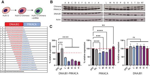 Oncogenic Addiction of Fibrolamellar Hepatocellular Carcinoma to the ...
