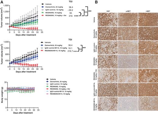 Preclinical Study of a Biparatopic METxMET Antibody–Drug Conjugate ...