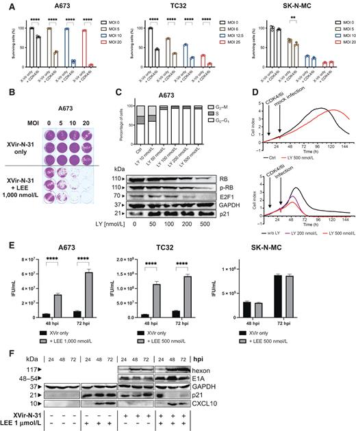 The Oncolytic Adenovirus XVir-N-31 Joins Forces with CDK4/6 Inhibition ...