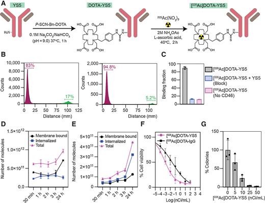 Treatment of Prostate Cancer with CD46-targeted 225Ac Alpha Particle Radioimmunotherapy ...