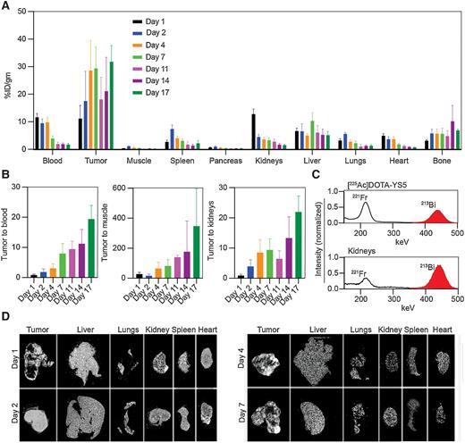 Treatment of Prostate Cancer with CD46-targeted 225Ac Alpha Particle ...