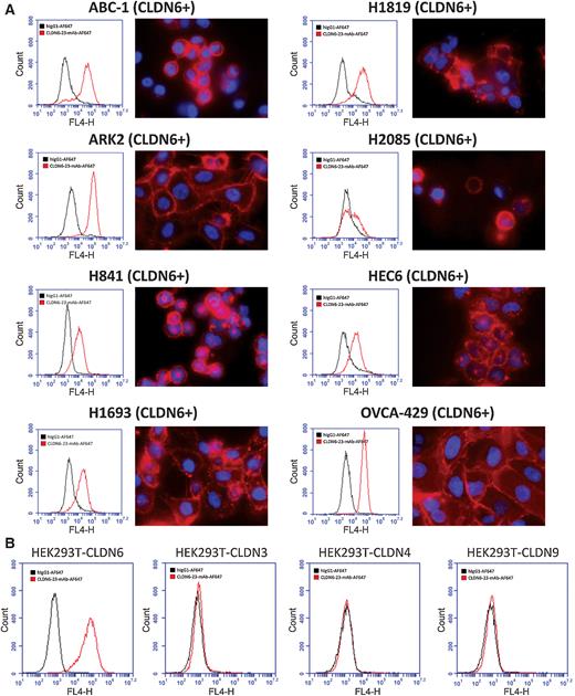 Preclinical Efficacy of the Antibody–Drug Conjugate CLDN6–23-ADC for ...
