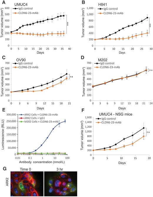 Preclinical Efficacy of the Antibody–Drug Conjugate CLDN6–23-ADC for ...