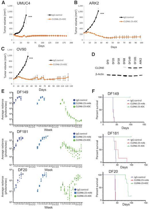 Preclinical Efficacy of the Antibody–Drug Conjugate CLDN6–23-ADC for ...