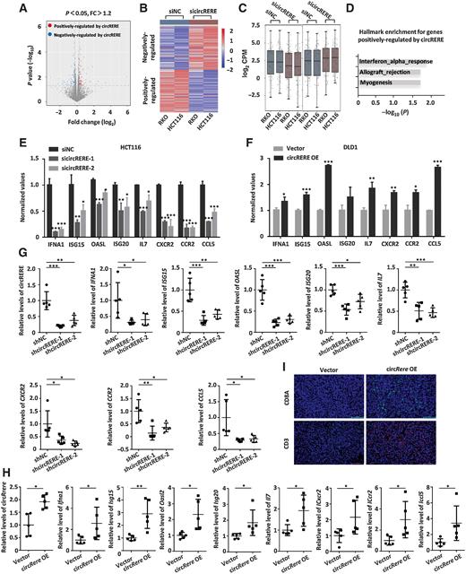 A Tumor-suppressive Molecular Axis EP300/circRERE/miR-6837-3p/MAVS ...