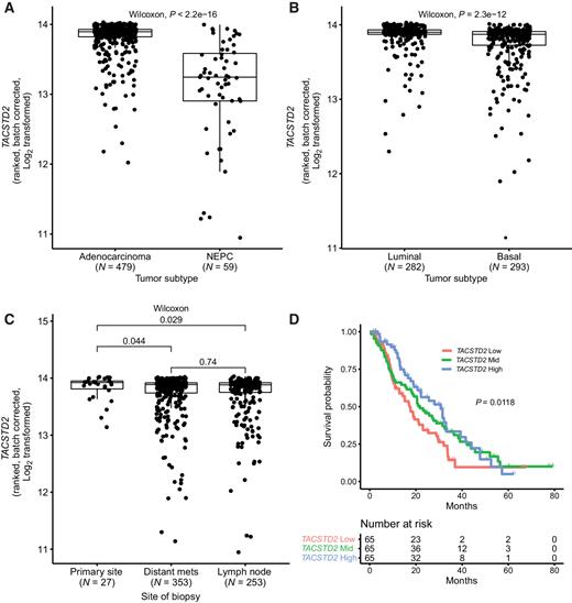 Expression and Therapeutic Targeting of TROP-2 in Treatment-Resistant ...