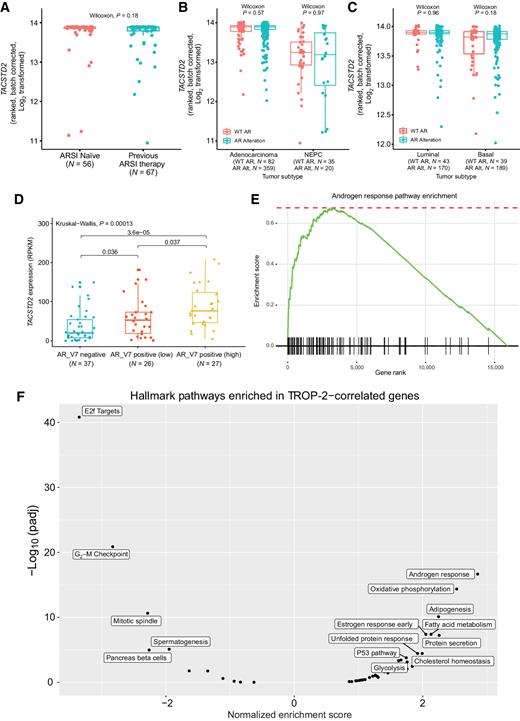 Expression and Therapeutic Targeting of TROP-2 in Treatment-Resistant ...