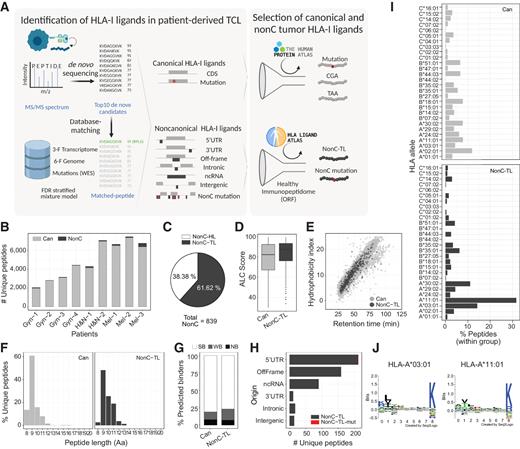 Exploring the Immunogenicity of Noncanonical HLA-I Tumor Ligands ...