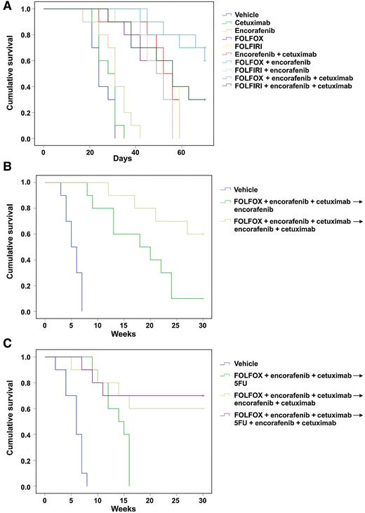 Antitumor Efficacy of Dual Blockade with Encorafenib + Cetuximab in ...