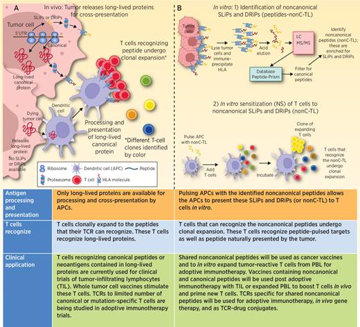 Cancer's Dark Matter: Lighting the Abyss Unveils Universe of New ...