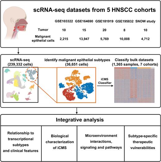 Integrative Single-Cell and Bulk Transcriptomes Analyses Identify ...