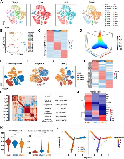 Integrative Single-Cell and Bulk Transcriptomes Analyses Identify ...