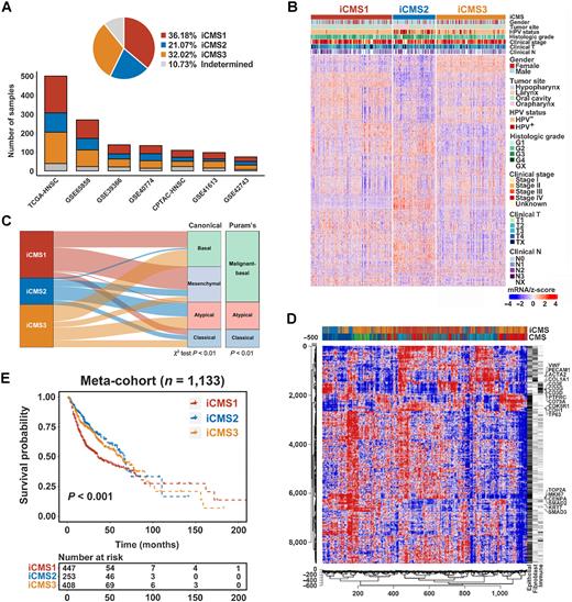 Integrative Single-Cell and Bulk Transcriptomes Analyses Identify ...