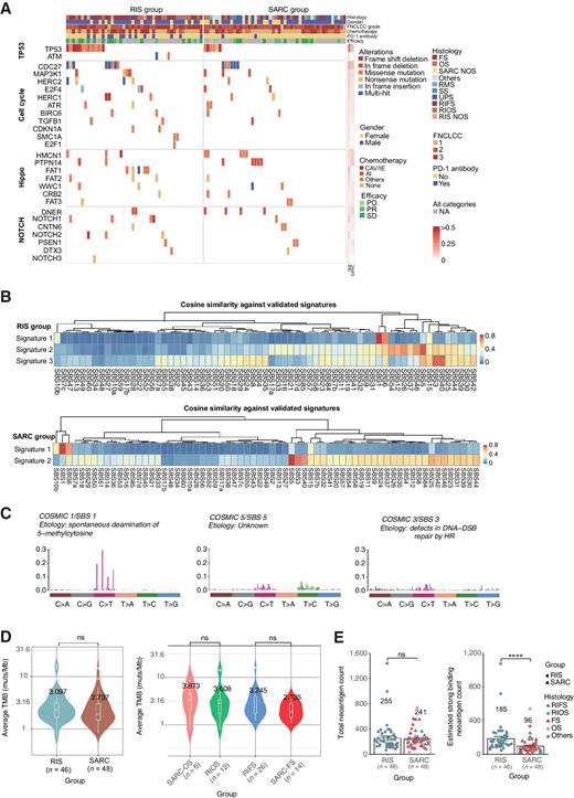 Genomic Profiling of Radiation-Induced Sarcomas Reveals the Immunologic ...