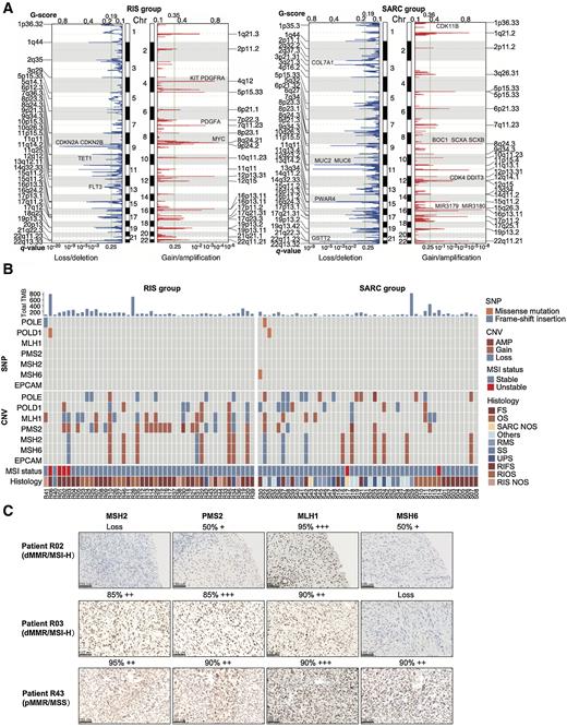 Genomic Profiling of Radiation-Induced Sarcomas Reveals the Immunologic ...